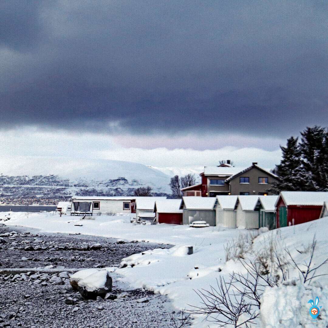 3 Days In Tromso: Road Trip Tromso In Winter - Planet Hopper Girl