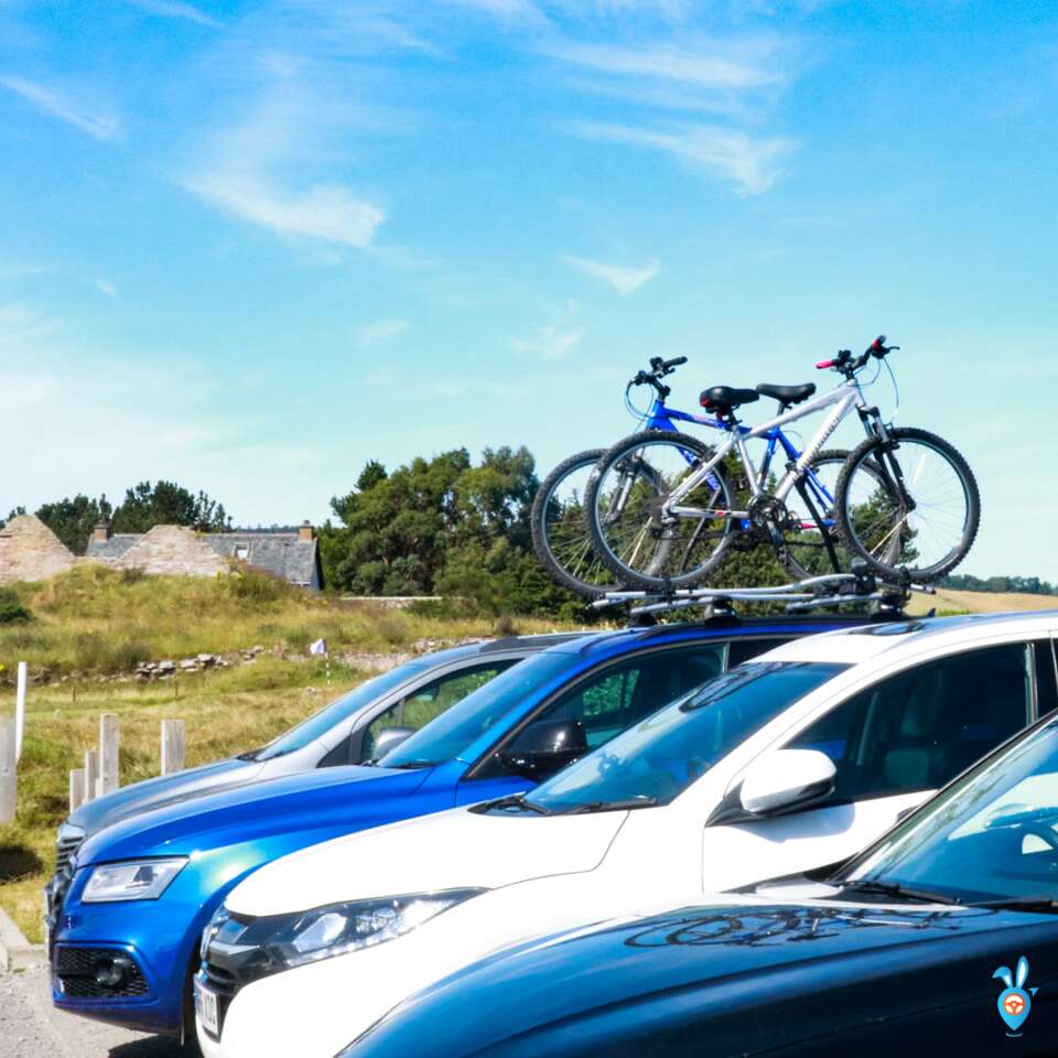 Ultimate Guide To Dolphin Watching In Inverness Scotland (Chanonry Point)