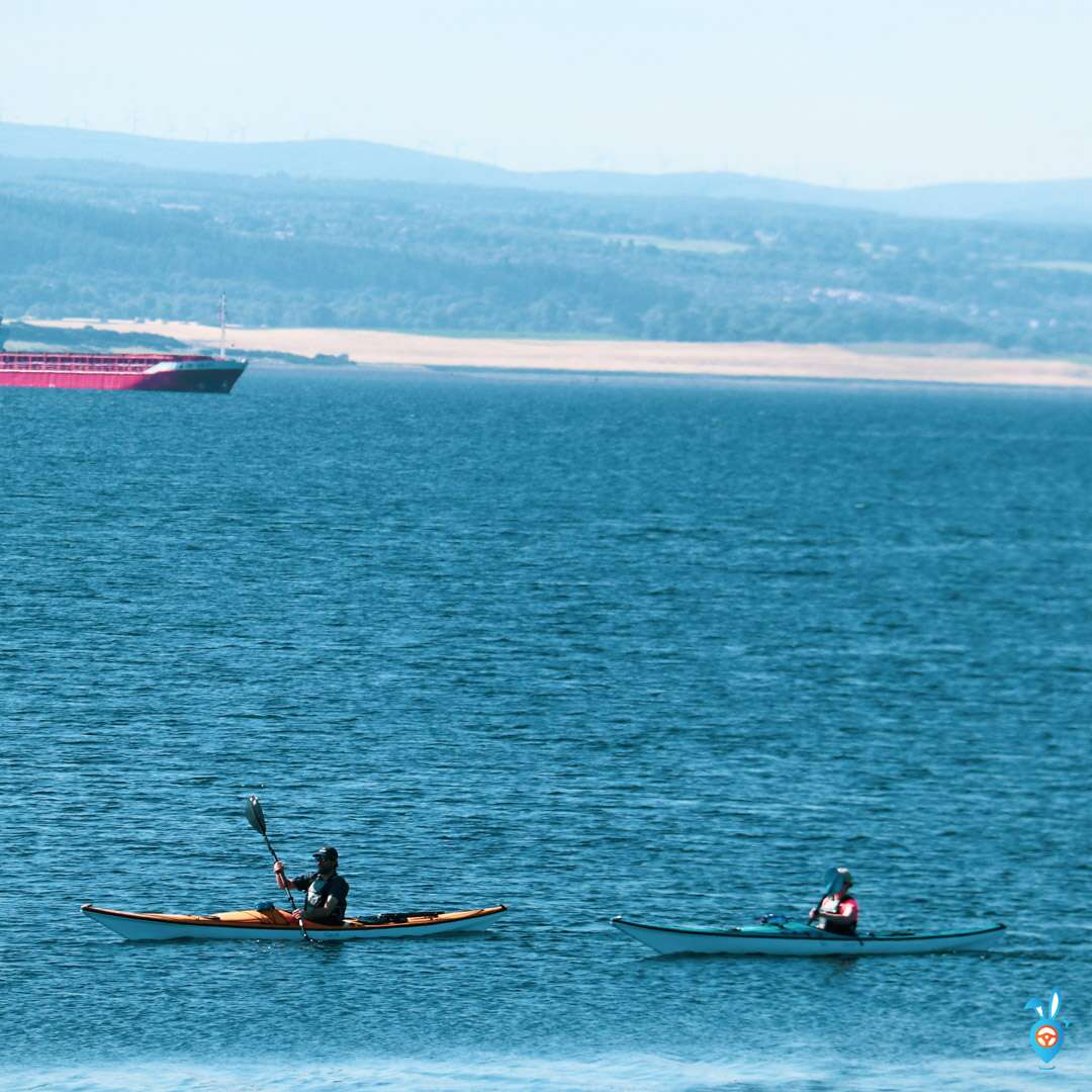 Ultimate Guide To Dolphin Watching In Inverness Scotland (Chanonry Point)