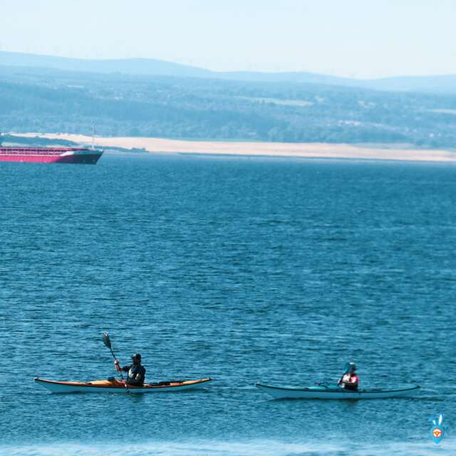 Ultimate Guide To Dolphin Watching In Inverness Scotland (Chanonry Point)