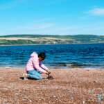 Ultimate Guide To Dolphin Watching In Inverness Scotland (Chanonry Point)